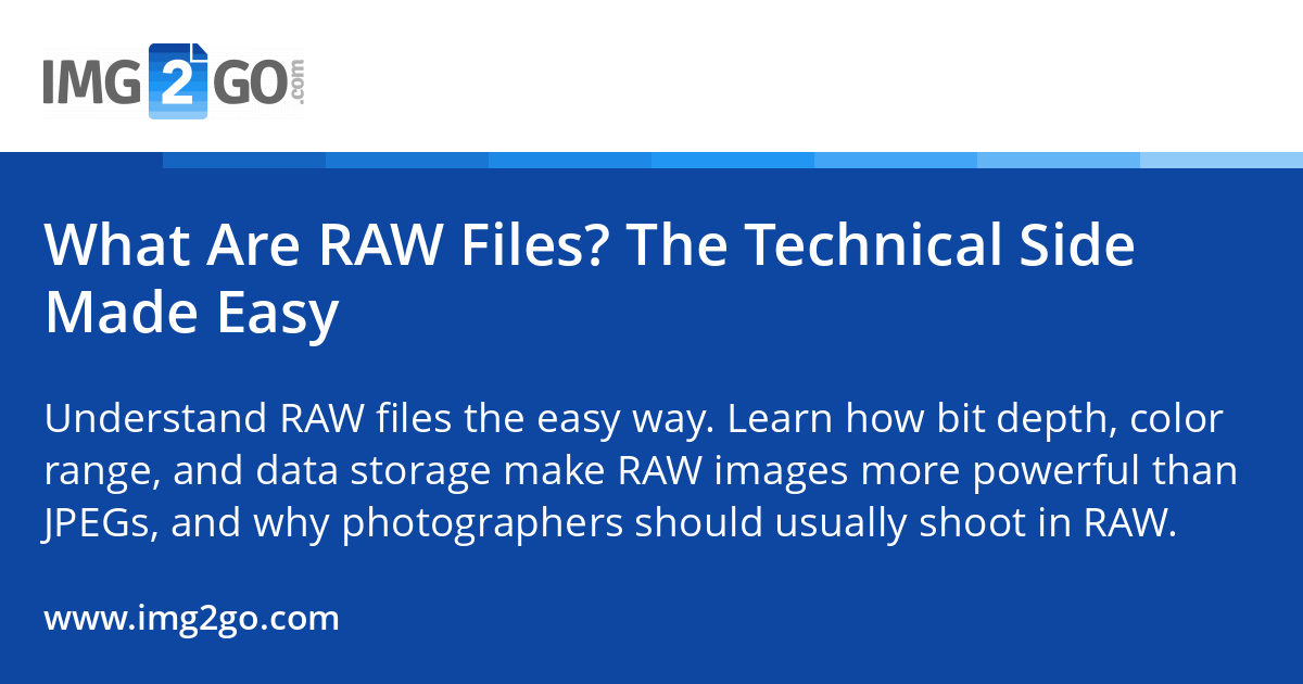 What Are RAW Files? The Technical Side Made Easy